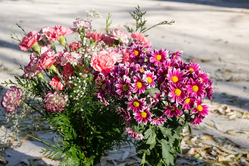 Flowers stock image. Image of gerbera, yellow, carnation - 37098735