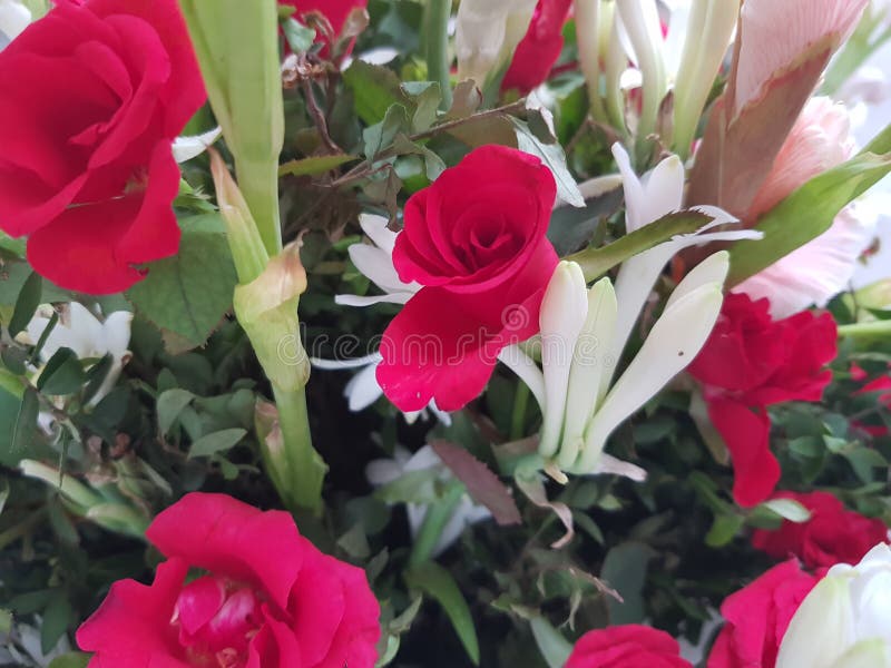 A Flowers Bouquet Rose Collection Stock Photo - Image of flower ...