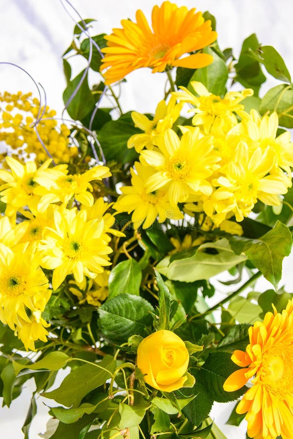 Flowers Bouquet for Special Stock Photo - Image of wedding, passion ...