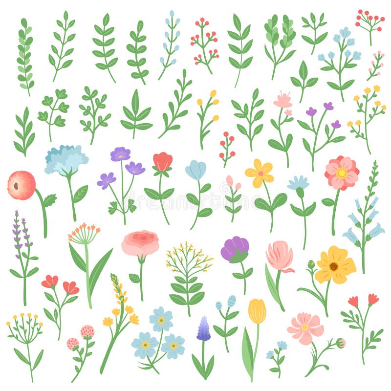 Flowers and Branches Summer Spring Set Vector Stock Vector ...