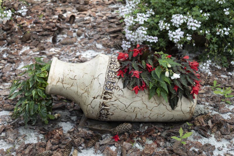Flowers in a broken vase. stock image. Image of flowers - 189498361