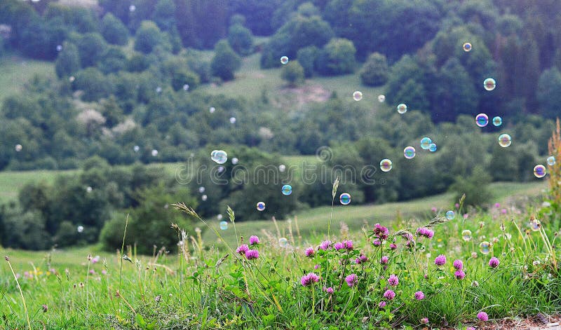 Bubbles stock image. Image of adventure, nature, bubbles - 116728983