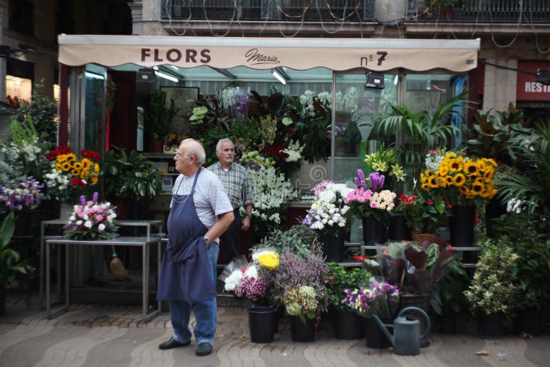 Flowers, buy, buy, buy editorial photo. Image of country - 37785396