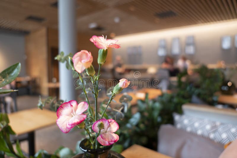 Flowers in cafe stock image. Image of traditional, decoration - 222277619