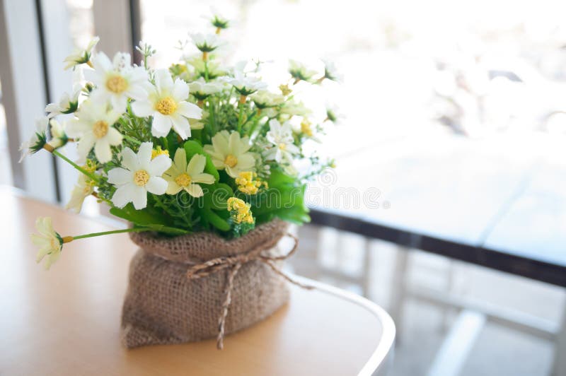 Flowers in a cafe stock photo. Image of home, modern - 31143970