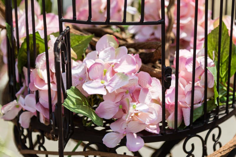Flowers in cage stock image. Image of bouquet, decorative - 54593027
