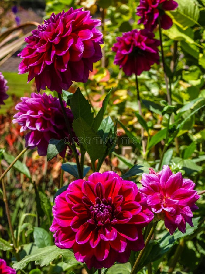 Gettys Museum Stock Photos - Free & Royalty-Free Stock Photos from ...