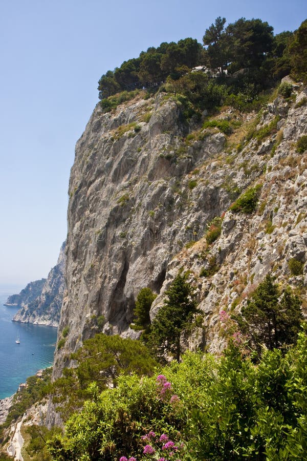 Flowers on Capri Cliffs stock photo. Image of naples - 11526992