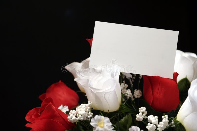 Roses with card 1 stock image. Image of flower, love, rose - 65999