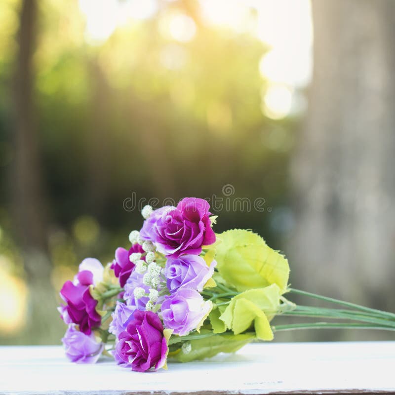 Flowers on the Cement Wall Background Bokeh Stock Image - Image of ...