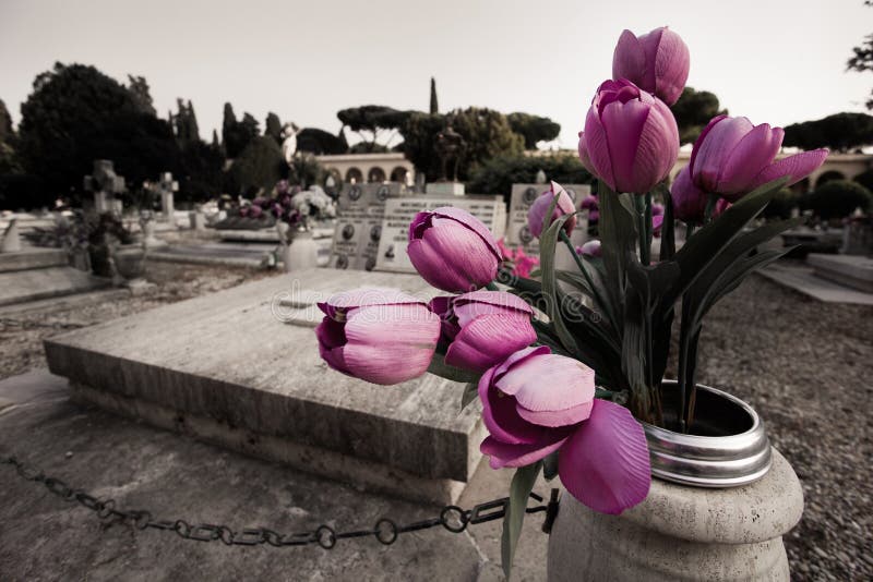 Flowers in the cemetery stock photo. Image of cemetery - 33046204