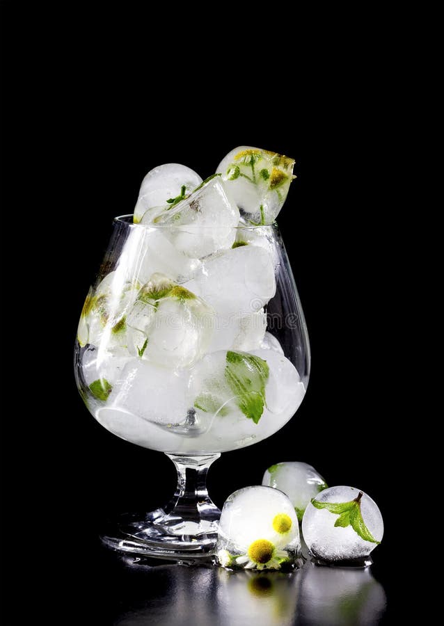 Flowers of Chamomile and Mint Leaves Frozen in Ice. Stock Image - Image ...