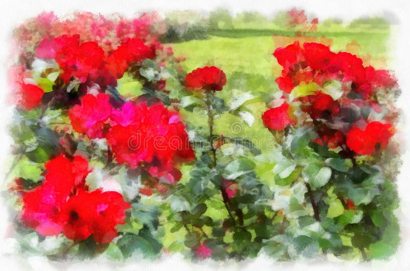 Drawing of a Flower Close-up. Stock Photo - Image of close, garden ...