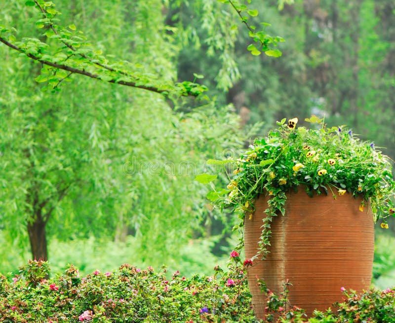 Flowers in clusters stock image. Image of leaf, beautiful - 13958775
