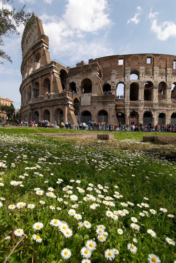 2+ Colosseum flowers Free Stock Photos - StockFreeImages
