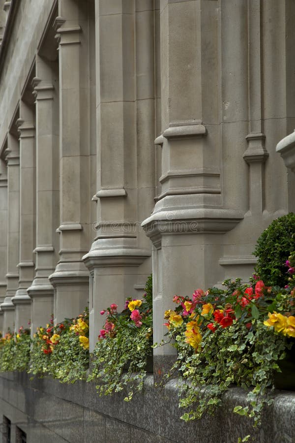 Flowers and columns stock image. Image of columns, architecture - 97127731