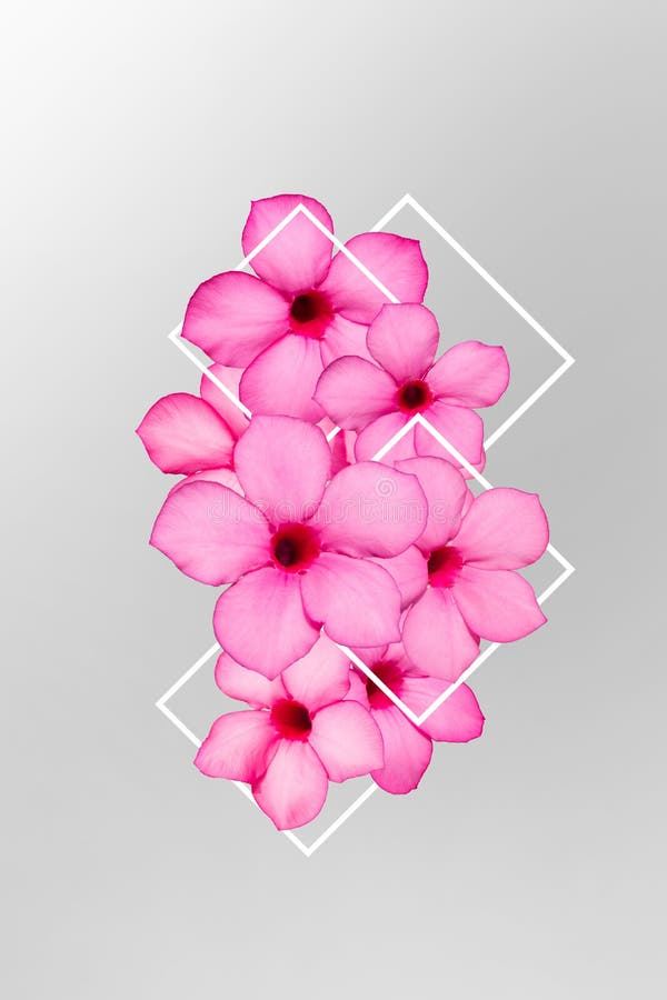 Flowers Composition. Creative Layout Flowers Postcard. Clipping Path ...