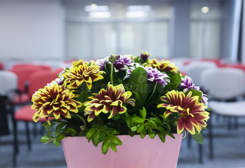 420 Conference Room Flowers Stock Photos - Free & Royalty-Free Stock ...