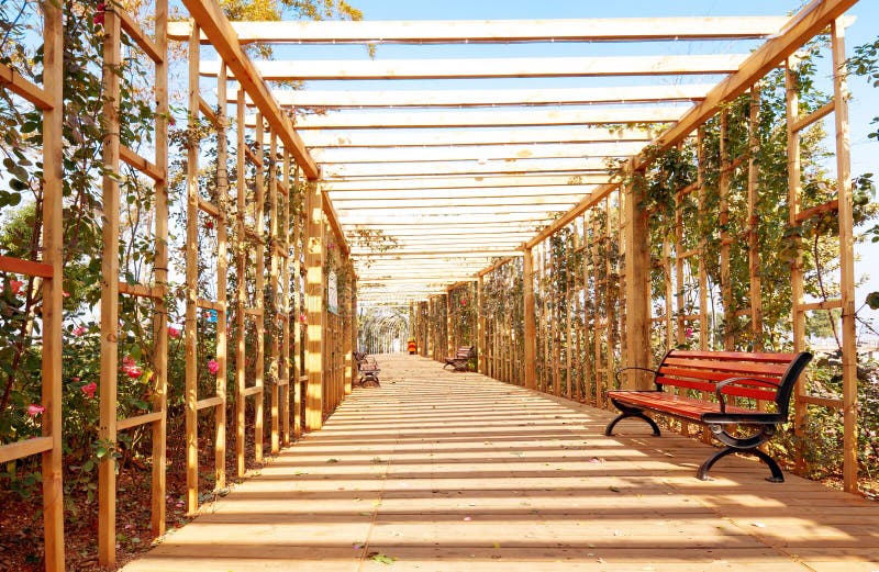 Flowers and corridors stock image. Image of bloom, bench - 22778023