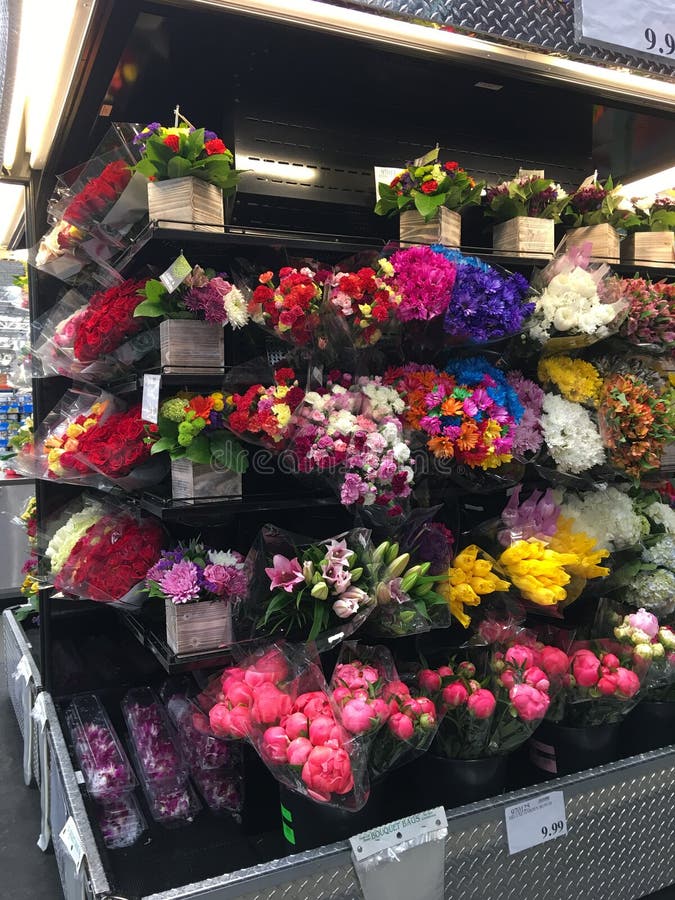 Flowers in Costco stock photo. Image of costco, sale - 149340958 Flowers in Costco stock photo. Image of costco, sale - 149340958