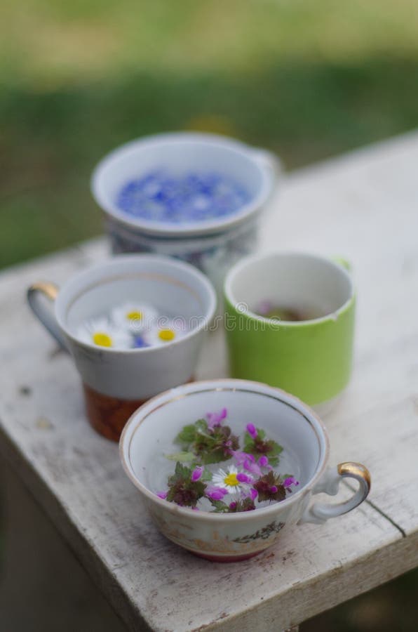 Flowers in Cups and Saucers, Spring Background. Stock Image - Image of ...