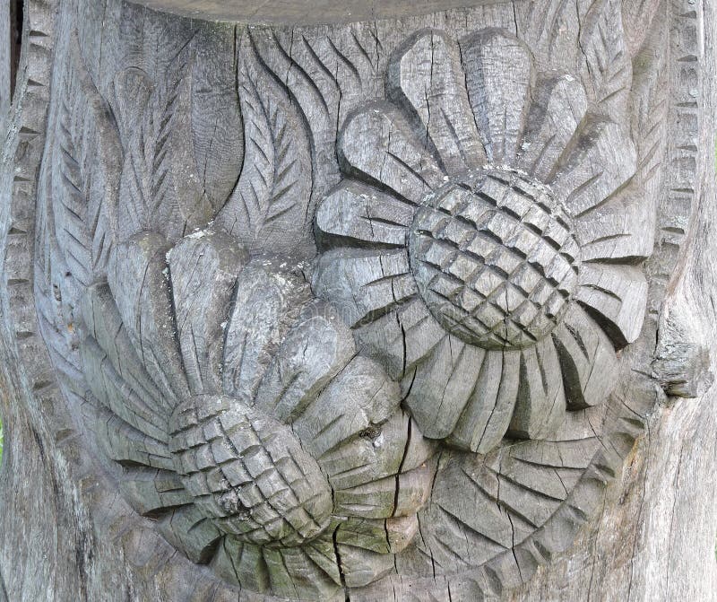 Flowers cut on timber stock photo. Image of marguerite - 44292186