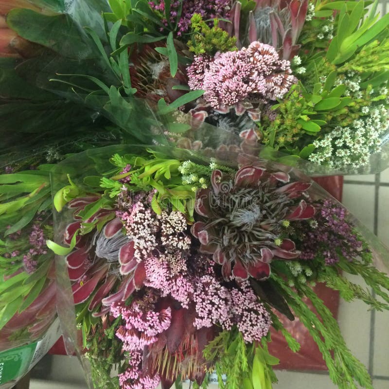 Flowers stock image. Image of store, flowers, purple - 92145677