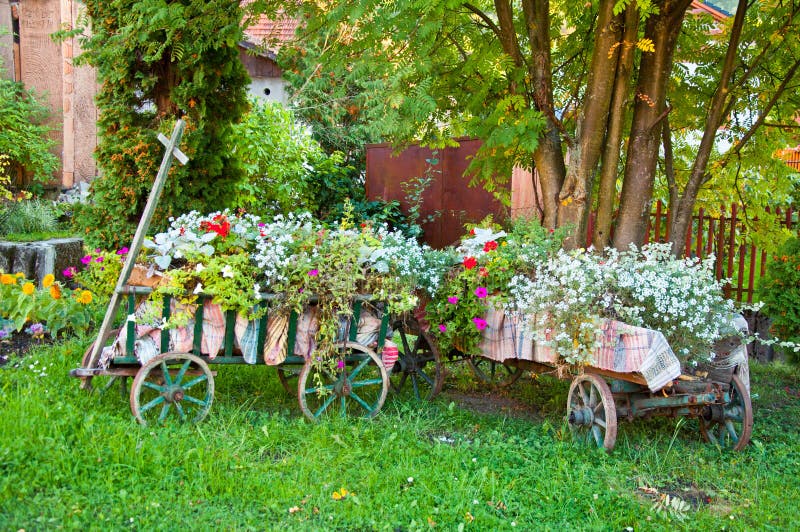 Flowers decoration stock image. Image of slant, versant - 53546145