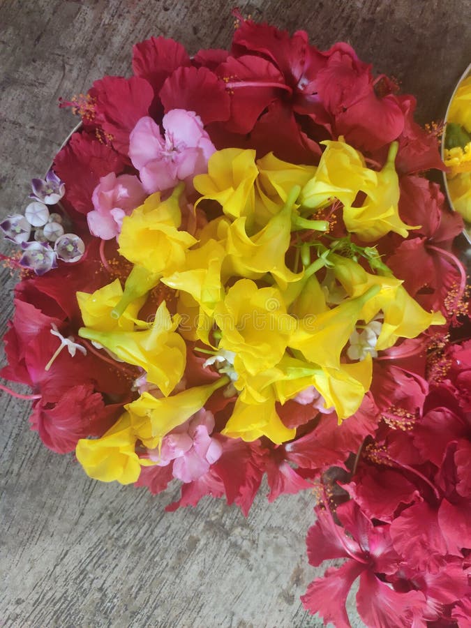 Flowers of Different Colors Stock Photo - Image of lilac, leaf: 183632520