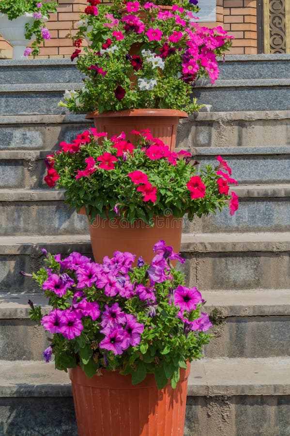 Flowers of Different Colors Stock Image - Image of decoration, green ...