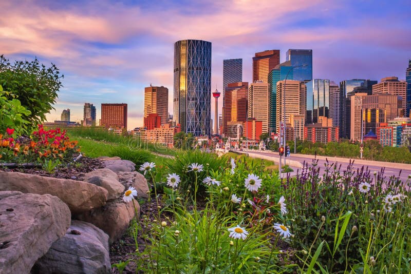 Flowers by Downtown Calgary Stock Photo - Image of city, flora: 189174254
