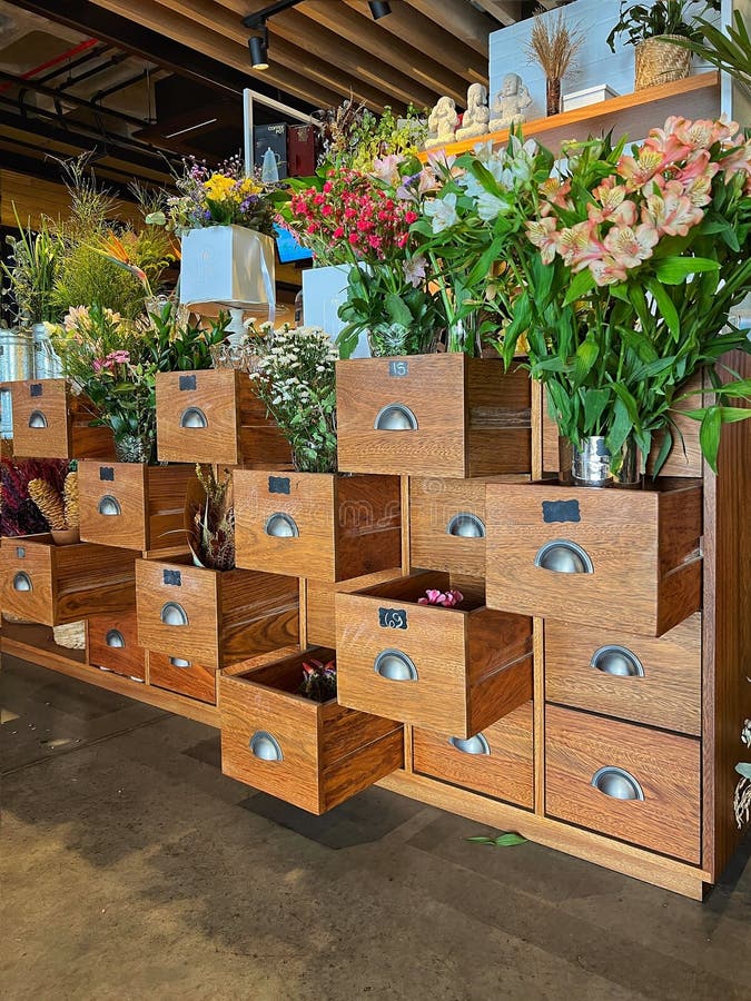 Flowers in the Drawer, in a Shop Window Stock Image - Image of bookcase ...
