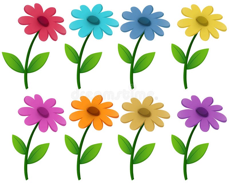 Flowers in Eight Different Colors Stock Vector - Illustration of ...