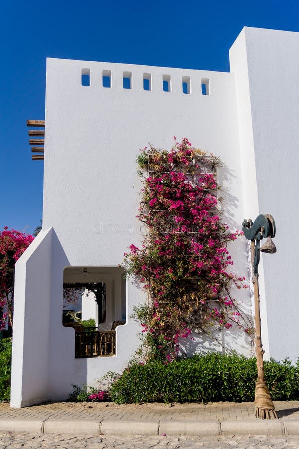 Flowers on Empty Stone Wall and Paved Street Stock Image - Image of ...