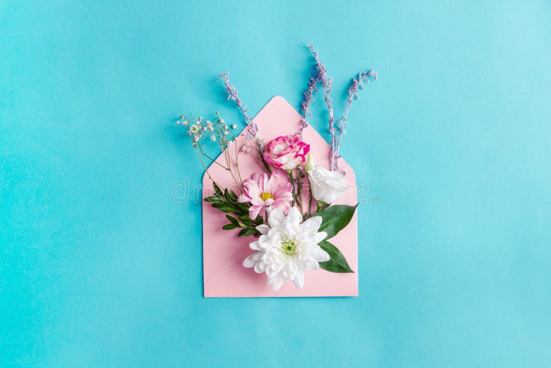 Flowers in Envelope Isolated on Blue Background. Spring Concept Stock ...