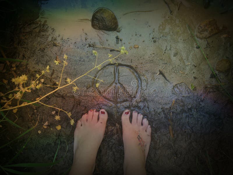 Flowers and Feet stock image. Image of colorado, sand - 47508347