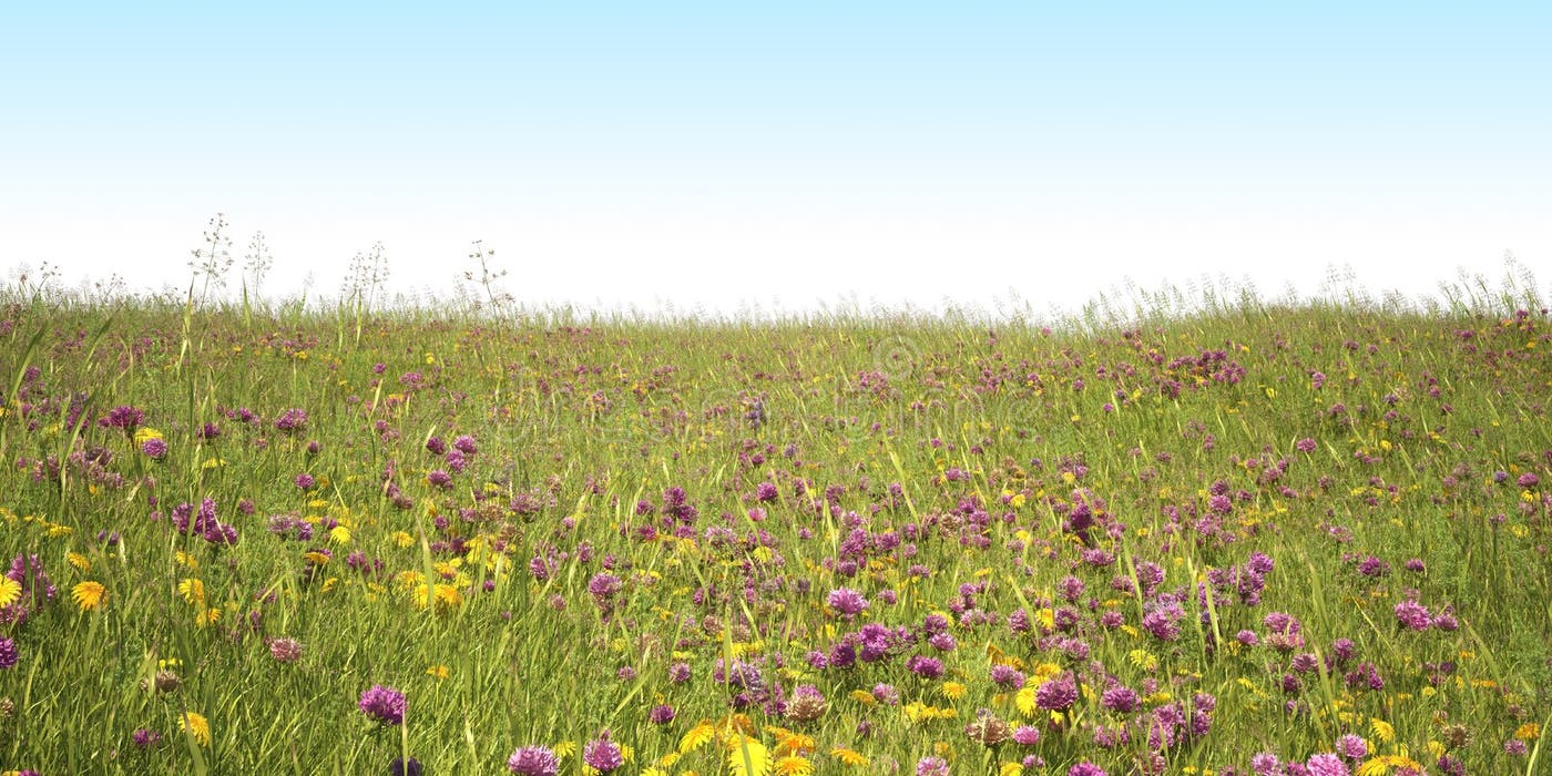 Spring Filed Stock Illustrations – 607 Spring Filed Stock Illustrations ...