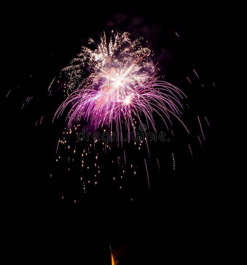 Flowers Fire Works Flowers in Black Sky Stock Image - Image of july ...