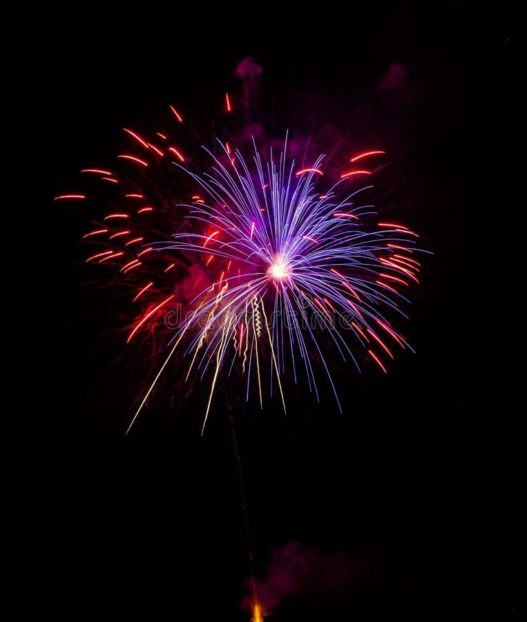 Flowers Fire Works Flowers in Black Sky Stock Photo - Image of ...