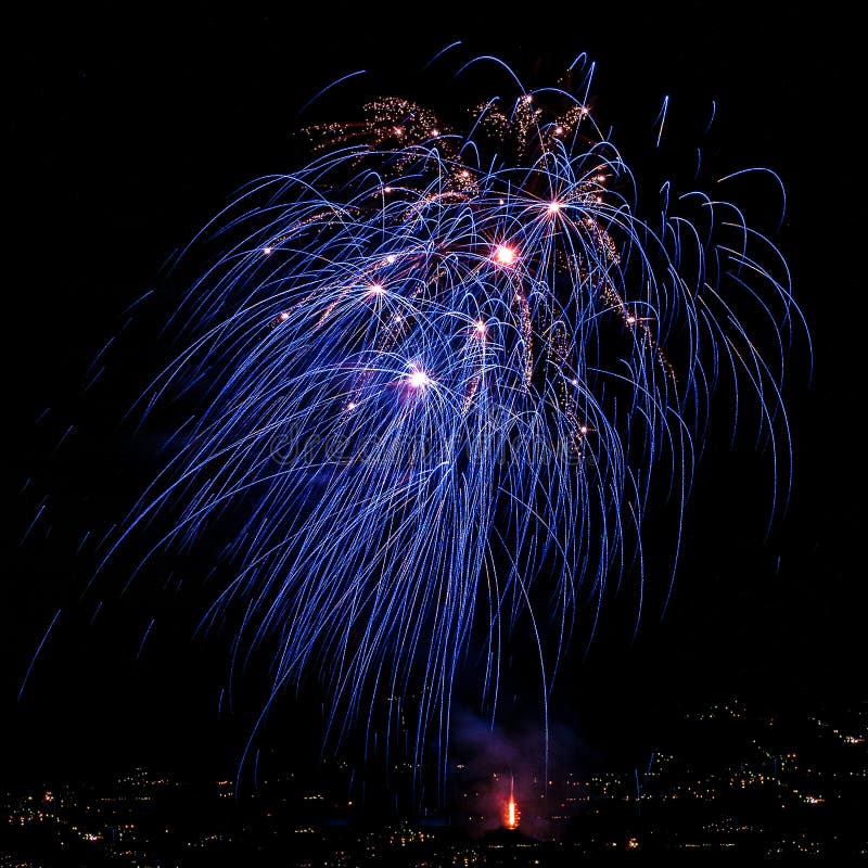 Flowers and Explosive Dehiscence Fruit Capsule of Jatropha Stock Photo ...