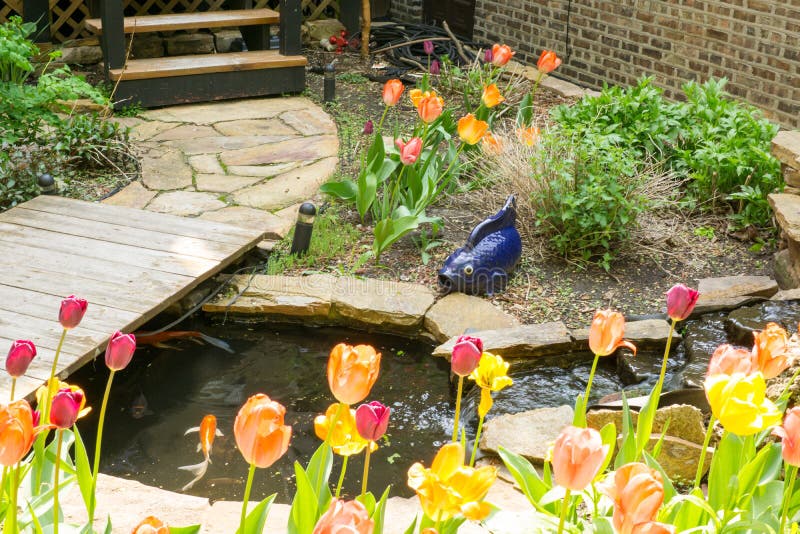 Flowers and Fish stock image. Image of green, flower - 95697221