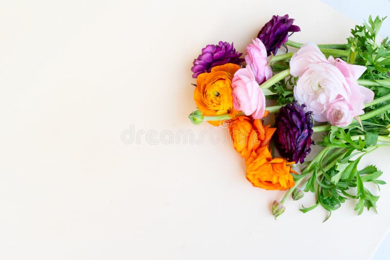 Flowers Flat Lay Composition Stock Photo - Image of bouquet, decoration ...