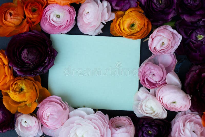 Flowers Flat Lay Composition Stock Photo - Image of flowers, background ...