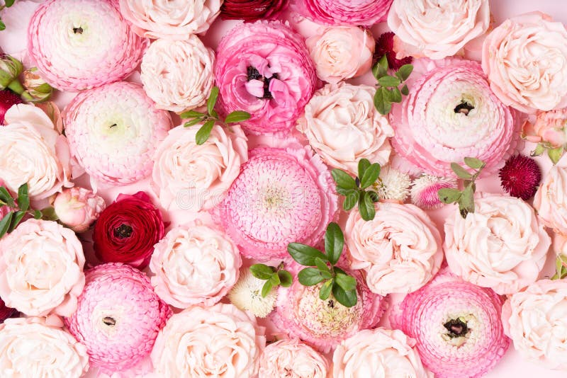 Flowers Flat Lay Composition Stock Photo - Image of pattern, layout ...