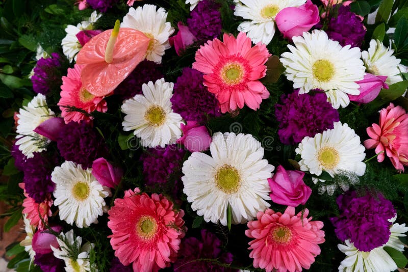 Flowers Flat Lay Composition Stock Photo - Image of abstract ...