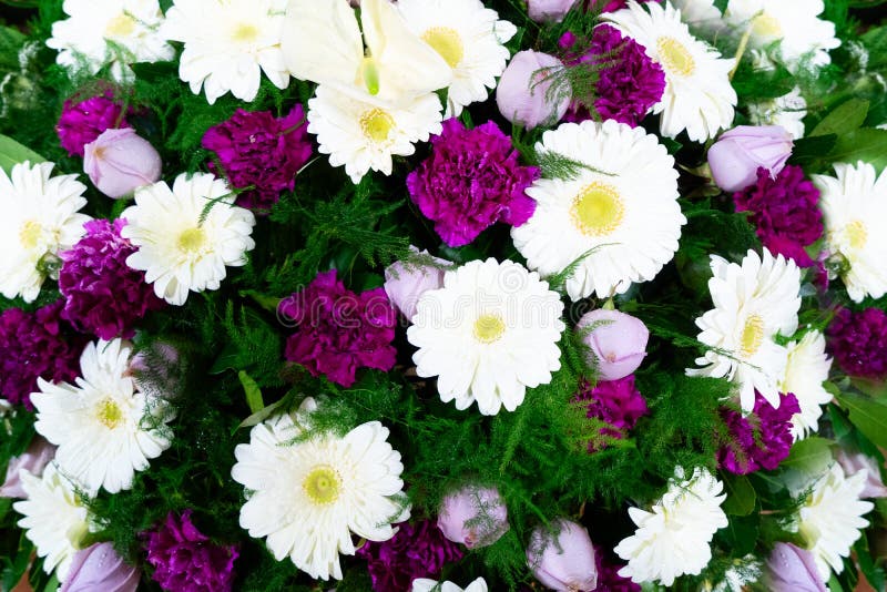 Flowers Flat Lay Composition Stock Image - Image of pattern, minimal ...