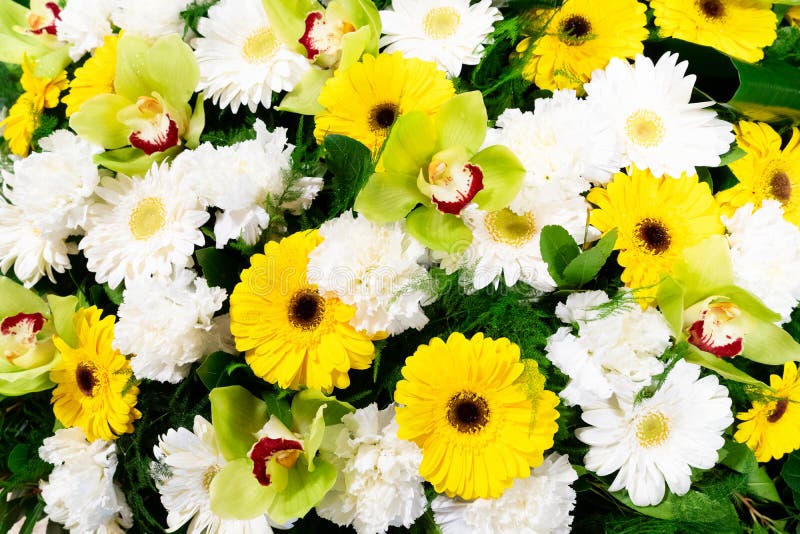 Flowers Flat Lay Composition Stock Image - Image of decor, decorative ...