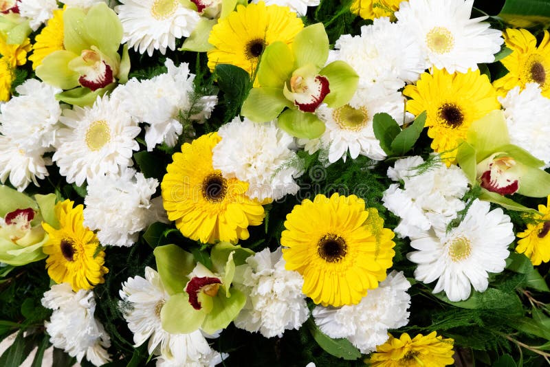 Flowers Flat Lay Composition Stock Image - Image of arrangement ...