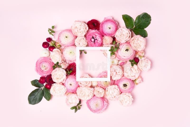 Flowers Flat Lay Composition Stock Photo - Image of abstract ...
