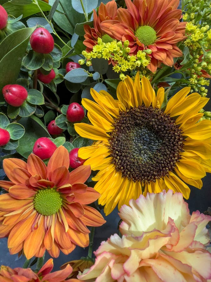 Flowers - Floral Display stock image. Image of color - 339786019